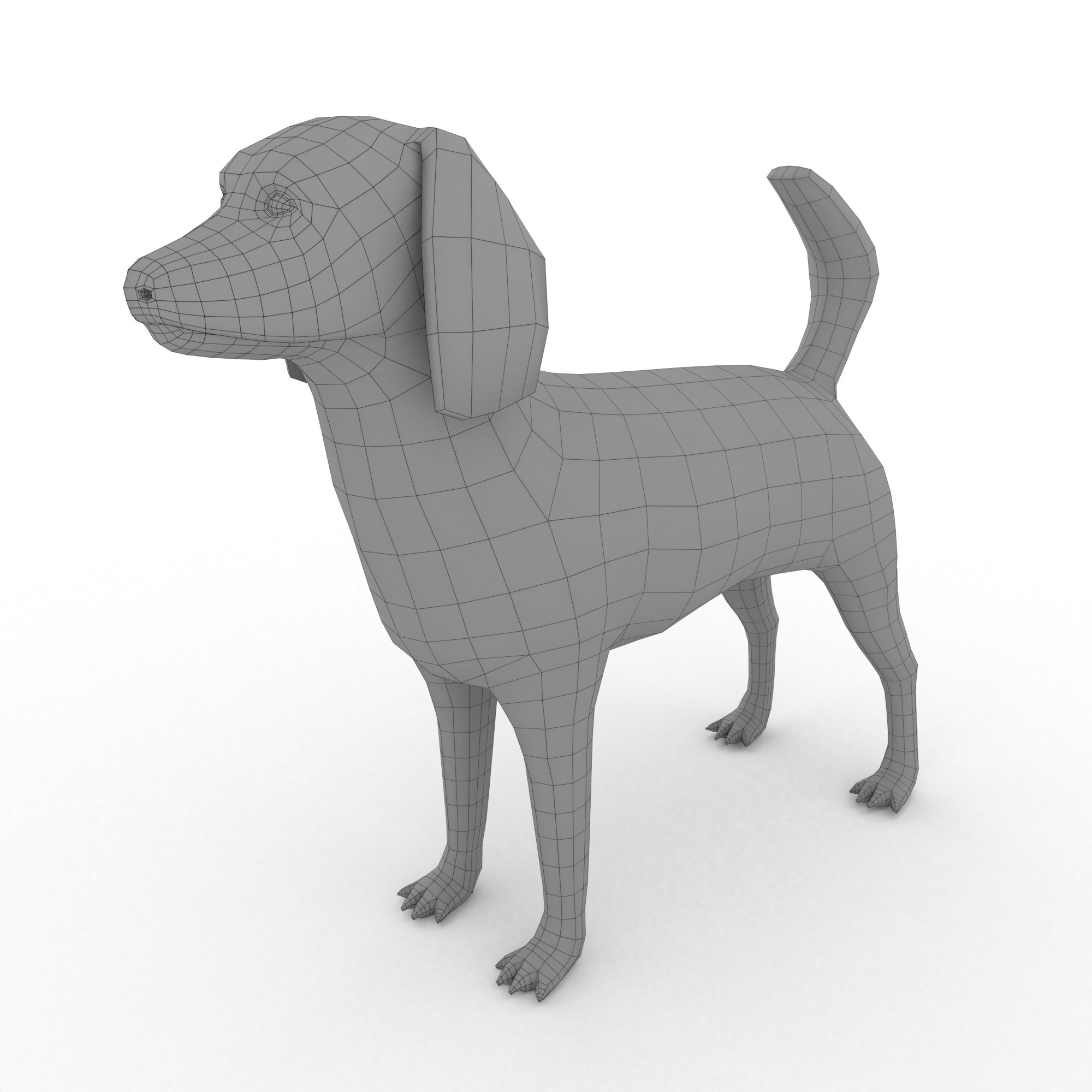 Beagle Hund 3D-Modell - TurboSquid 1431708