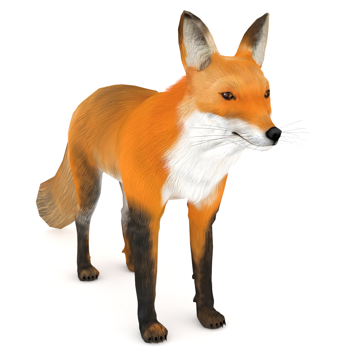 3D red fox - TurboSquid 1415174