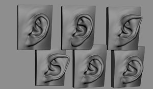 3d basic ear model