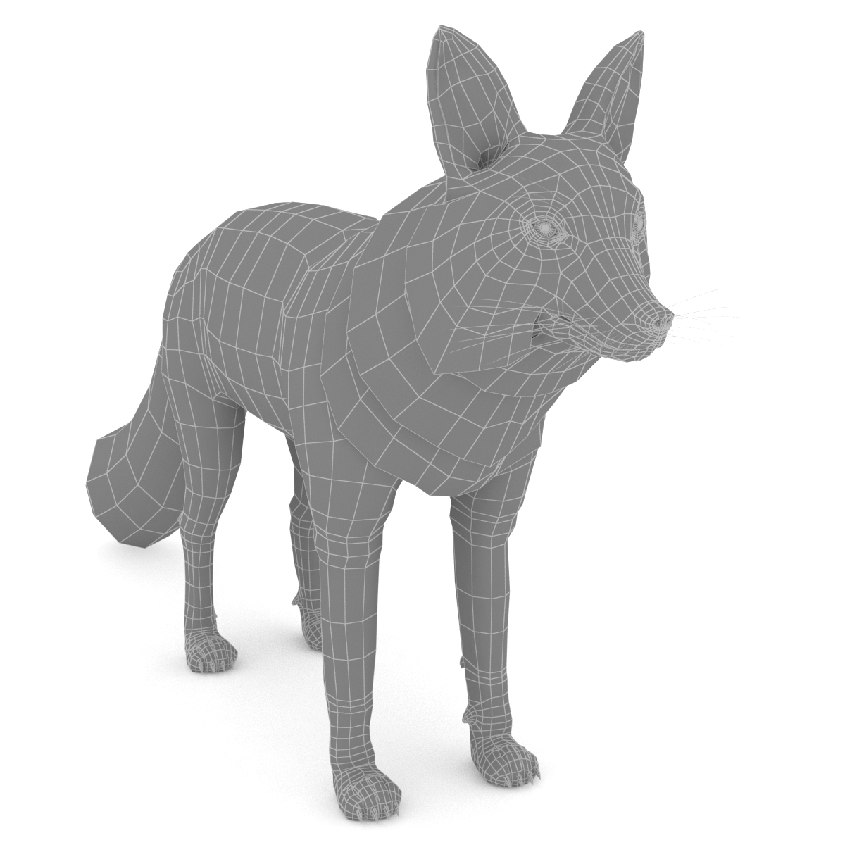 Raposa Prateada Modelo 3D - TurboSquid 1433970