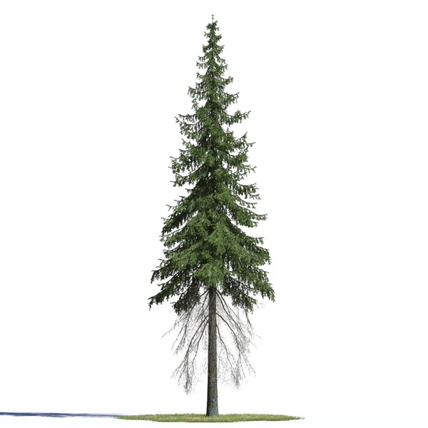 Archmodels vol 219 3D model - TurboSquid 1434743