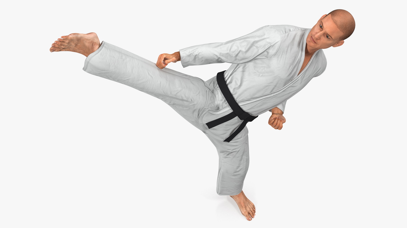 3D model karate fighter fur rigged - TurboSquid 1434518