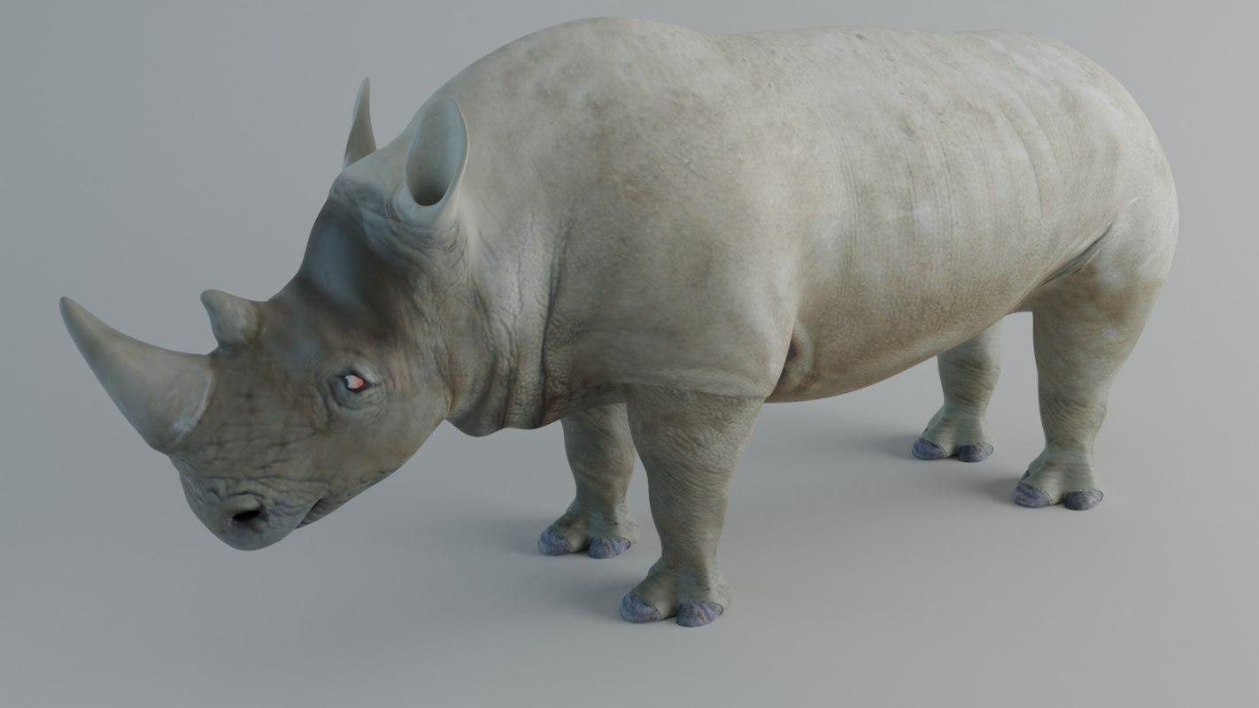 Rhino 3D model - TurboSquid 1434179