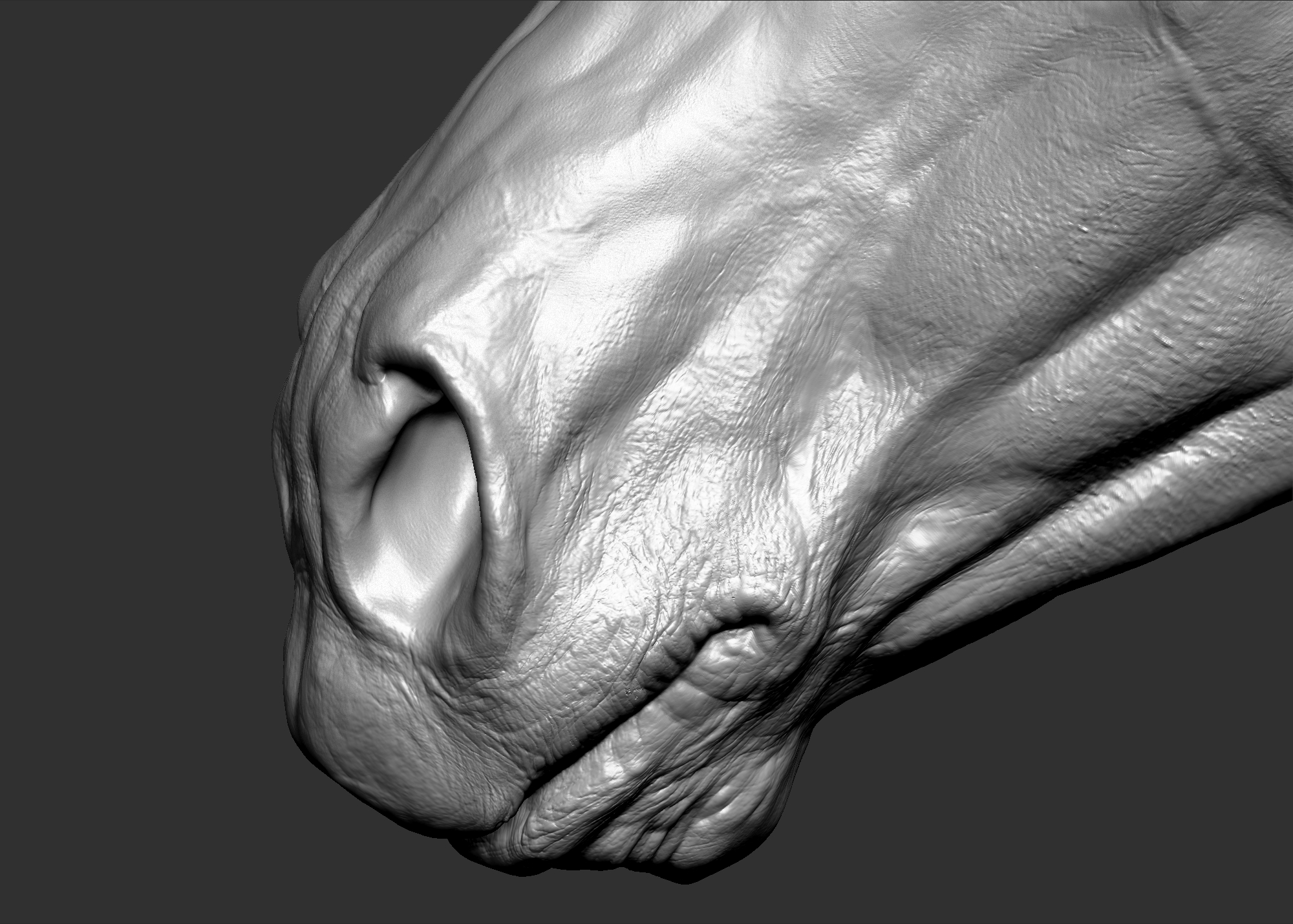horse ztl zbrush 3d obj