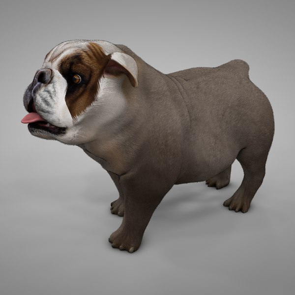 Dog Cinema 4D Models for Download | TurboSquid