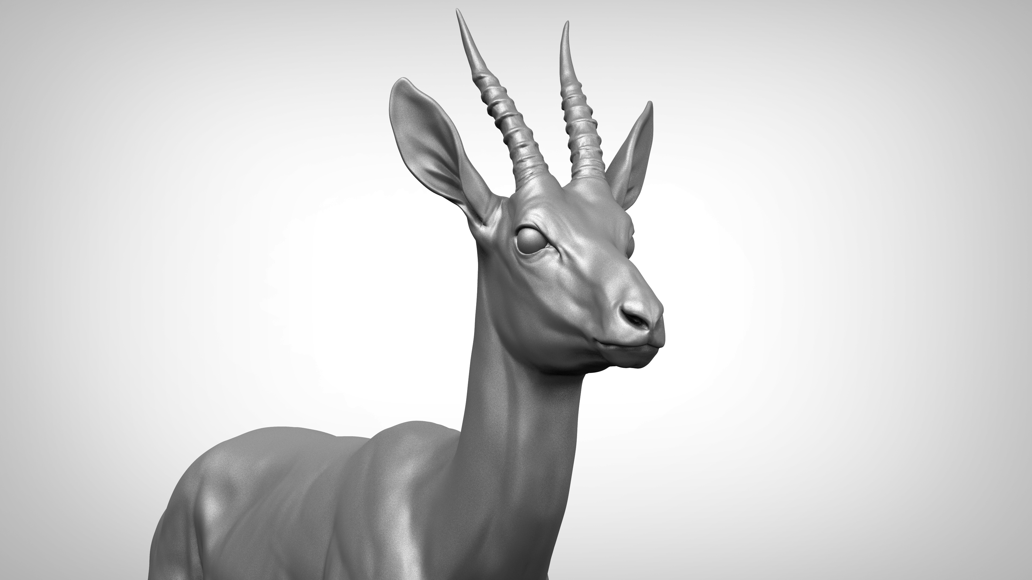 3D gazelle antelope gazella model - TurboSquid 1434976