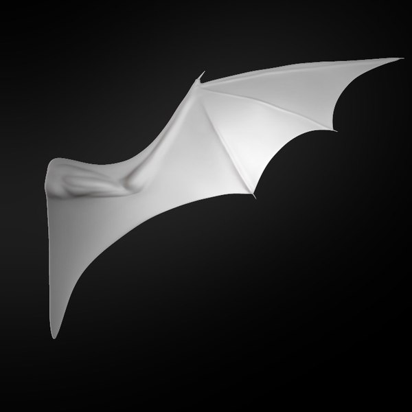 Dragon Wings 3D Models for Download | TurboSquid