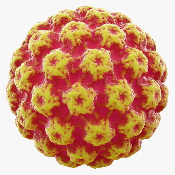 Free 3D Bacteria Models | TurboSquid