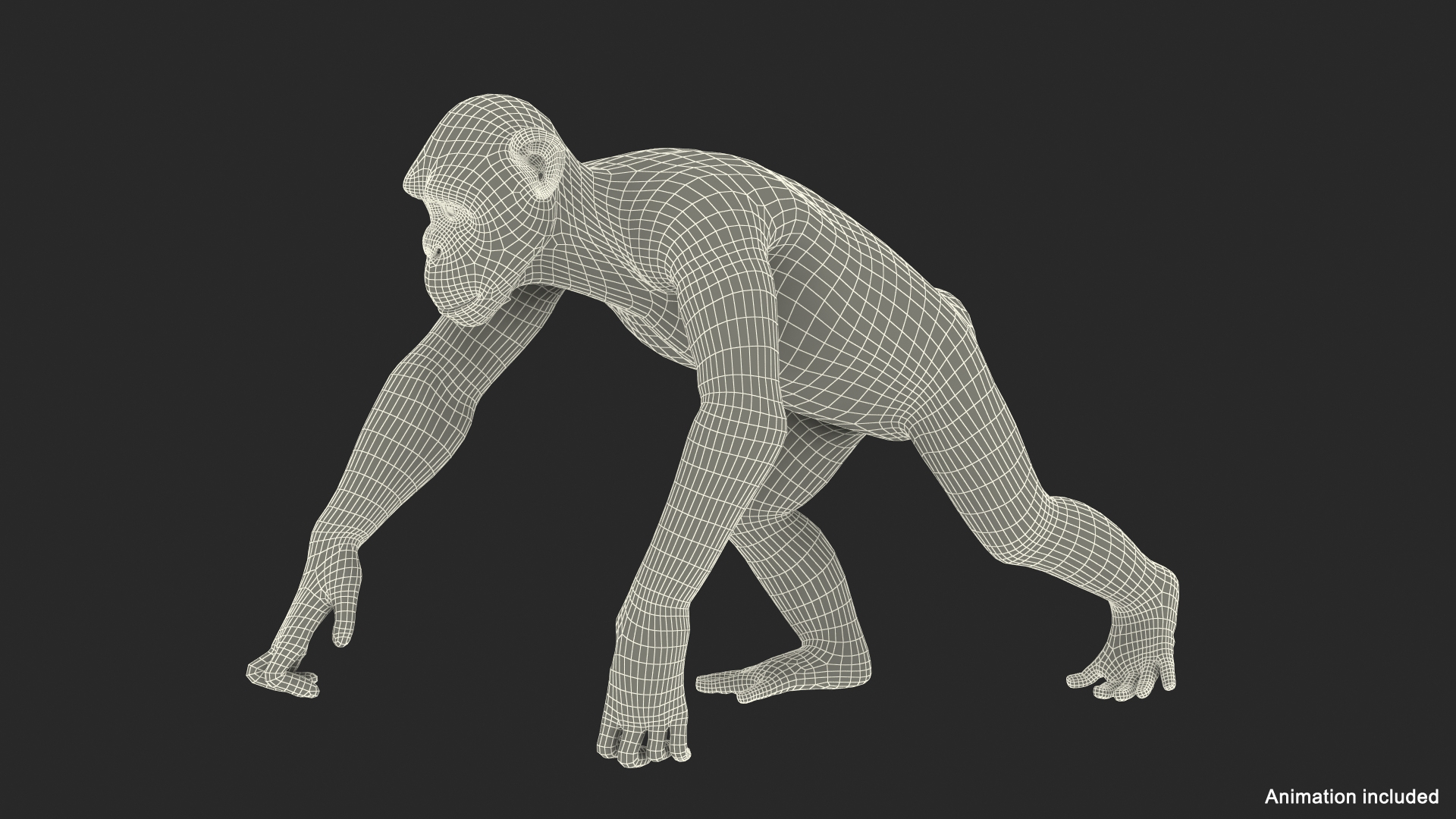3D chimpanzee running light skin fur model - TurboSquid 1435816