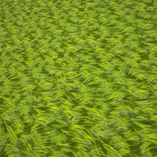 Texture PNG free stylized grass