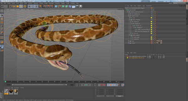 Rattlesnake snake rattle rigged 3D model - TurboSquid 1436169