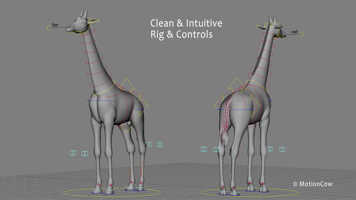 3D realistic rigged animation - TurboSquid 1436301