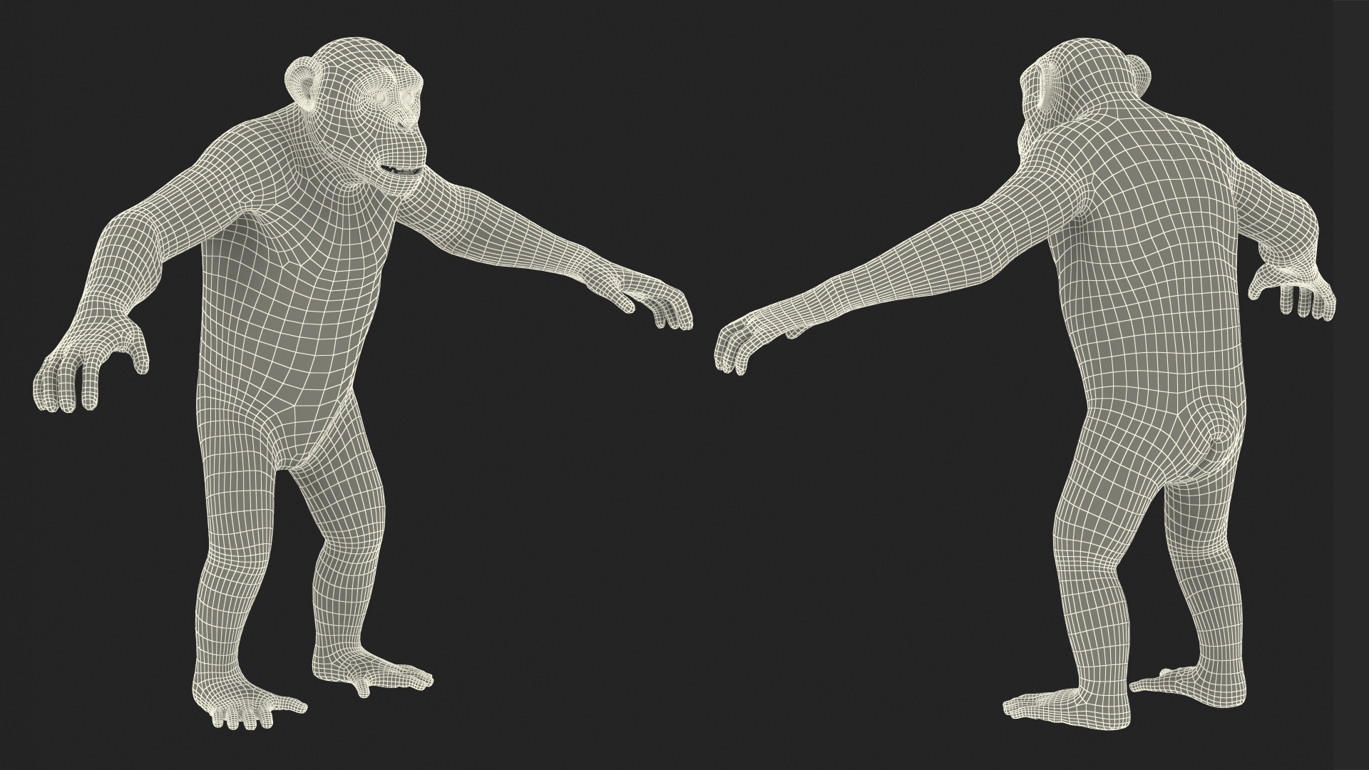 3D chimpanzee walking animal dark - TurboSquid 1436551