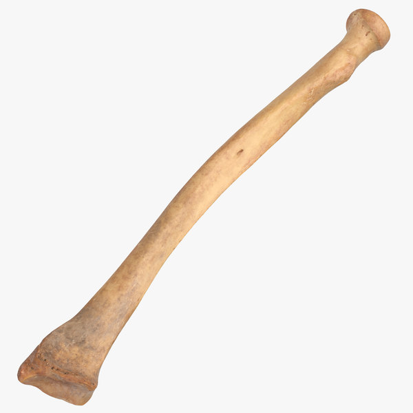 3D model classic witch broom - TurboSquid 1452139