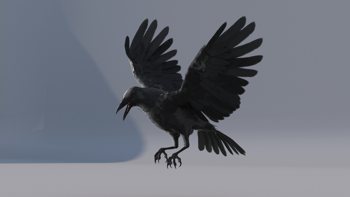 3D crow animations - TurboSquid 1437323