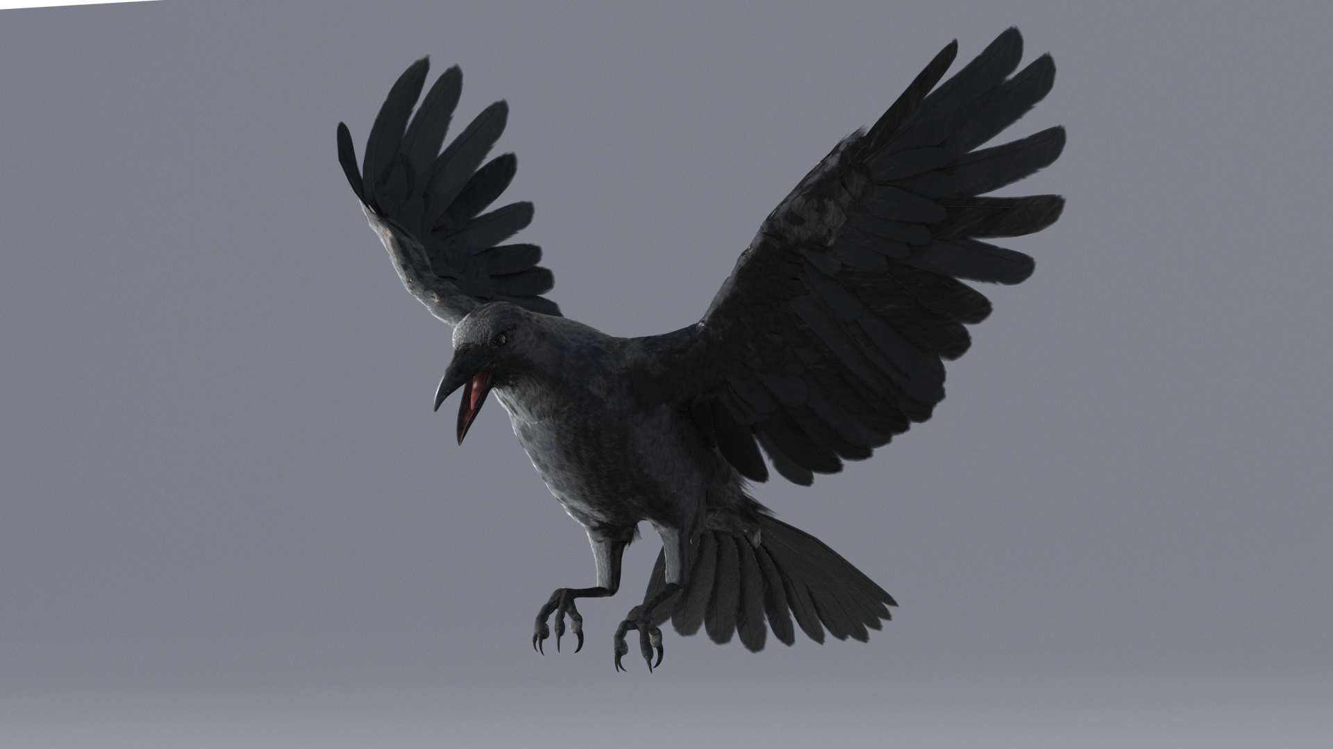 3D crow animations - TurboSquid 1437323