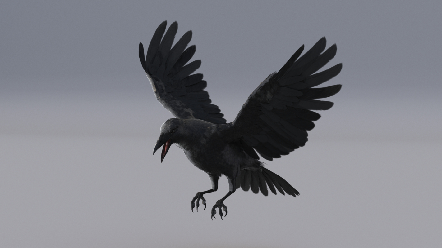 3D crow animations - TurboSquid 1437323