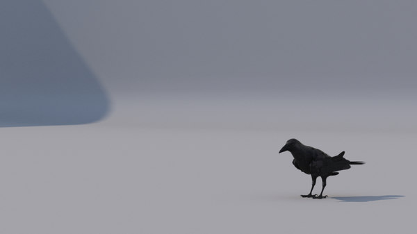 3D crow animations - TurboSquid 1437323