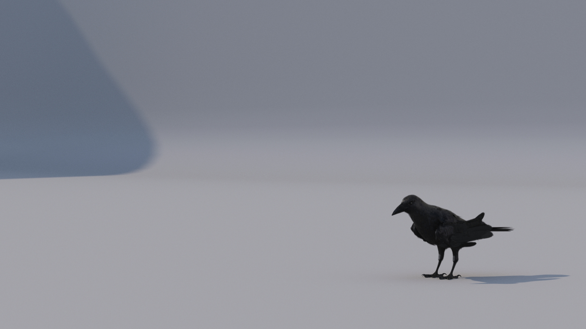 3D crow animations - TurboSquid 1437323