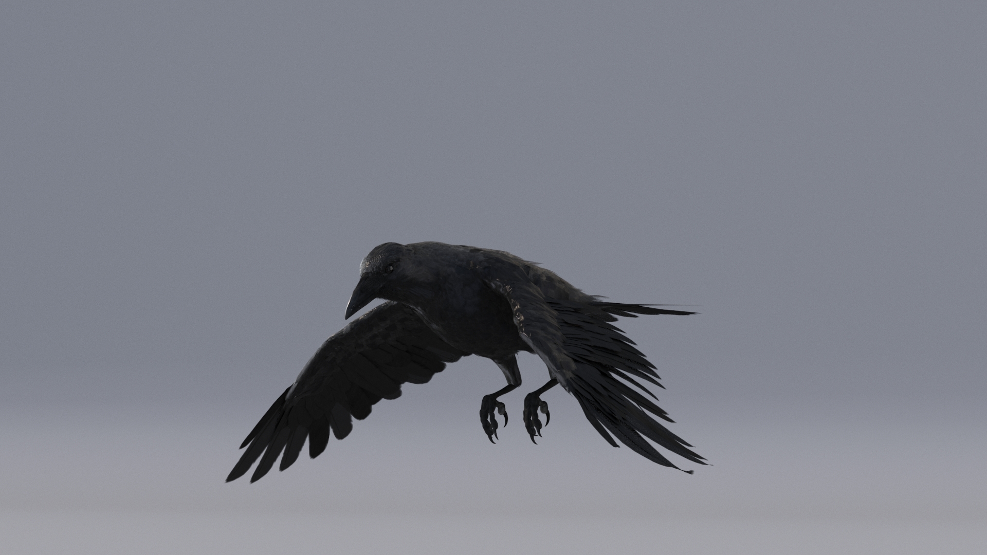 3D crow animations - TurboSquid 1437323