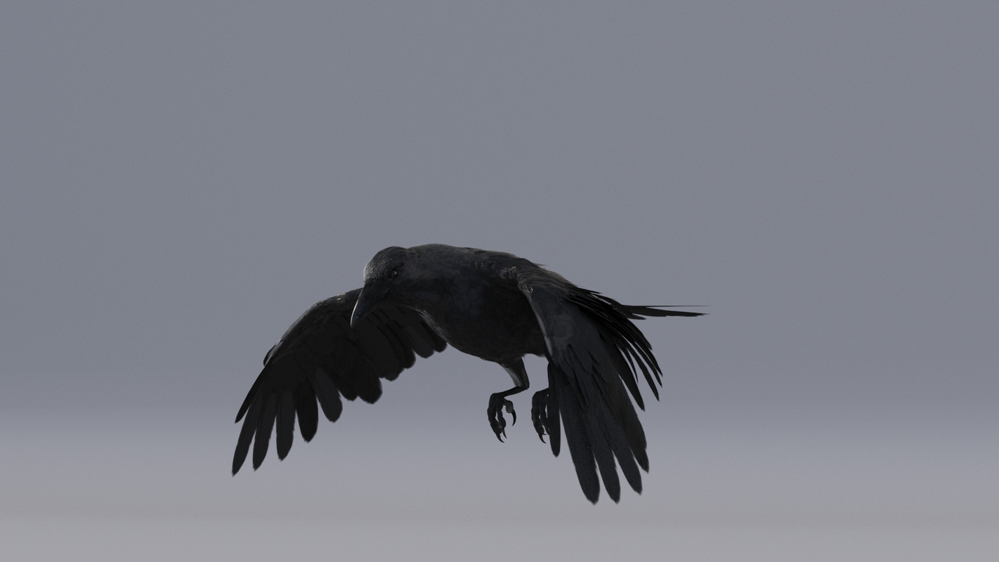 3D crow animations - TurboSquid 1437323