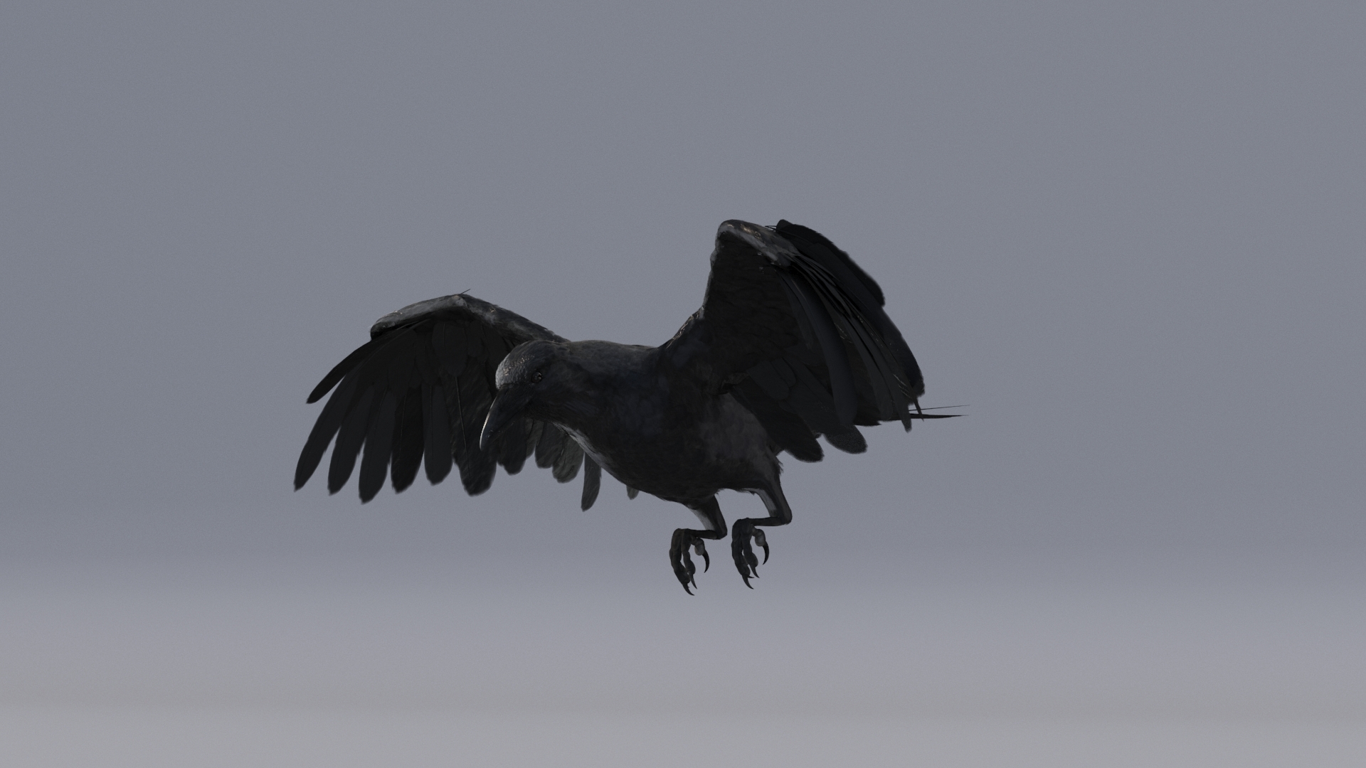 3D crow animations - TurboSquid 1437323