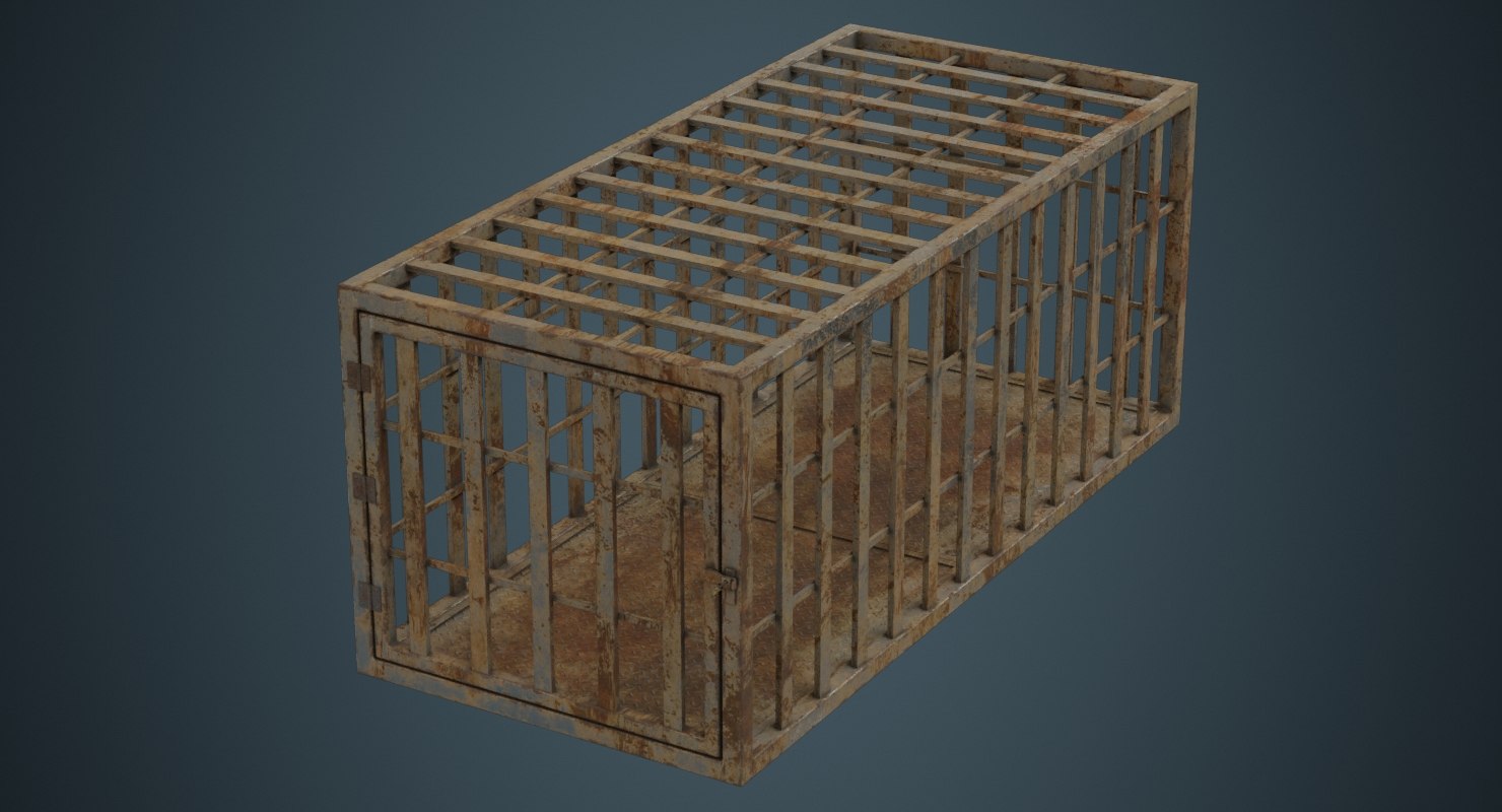 modèle 3D de Cage 1D - TurboSquid 1437540