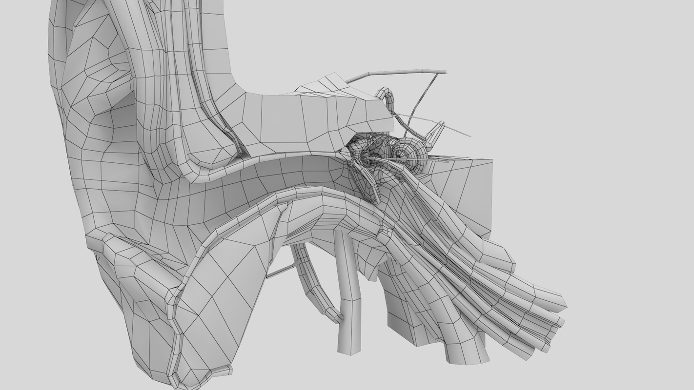 3d model human ear anatomy