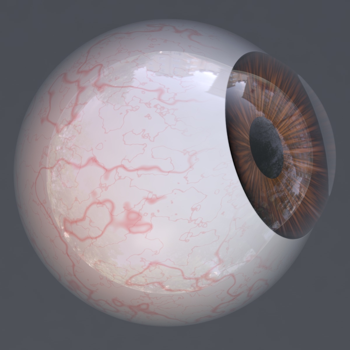 Olho humano Modelo 3D - TurboSquid 1437803