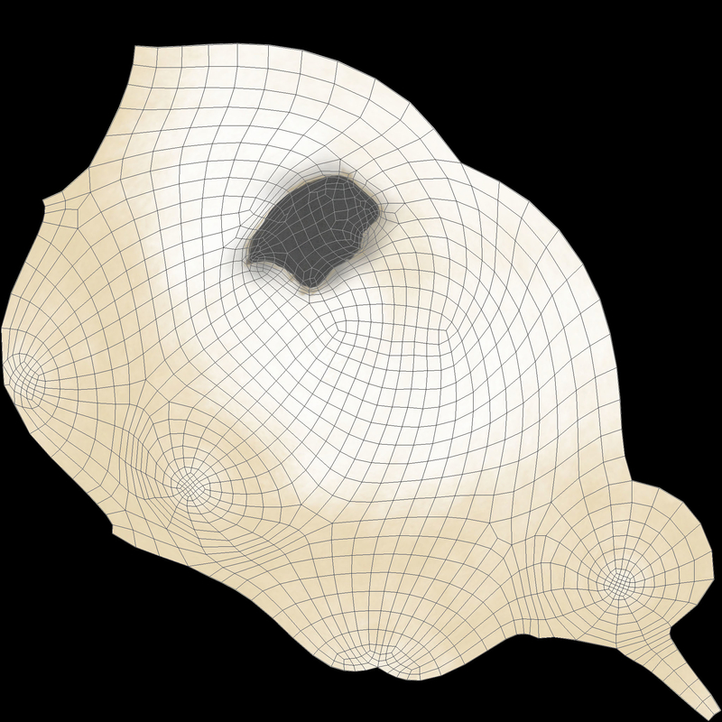 Teeth decay 3D model - TurboSquid 1438129