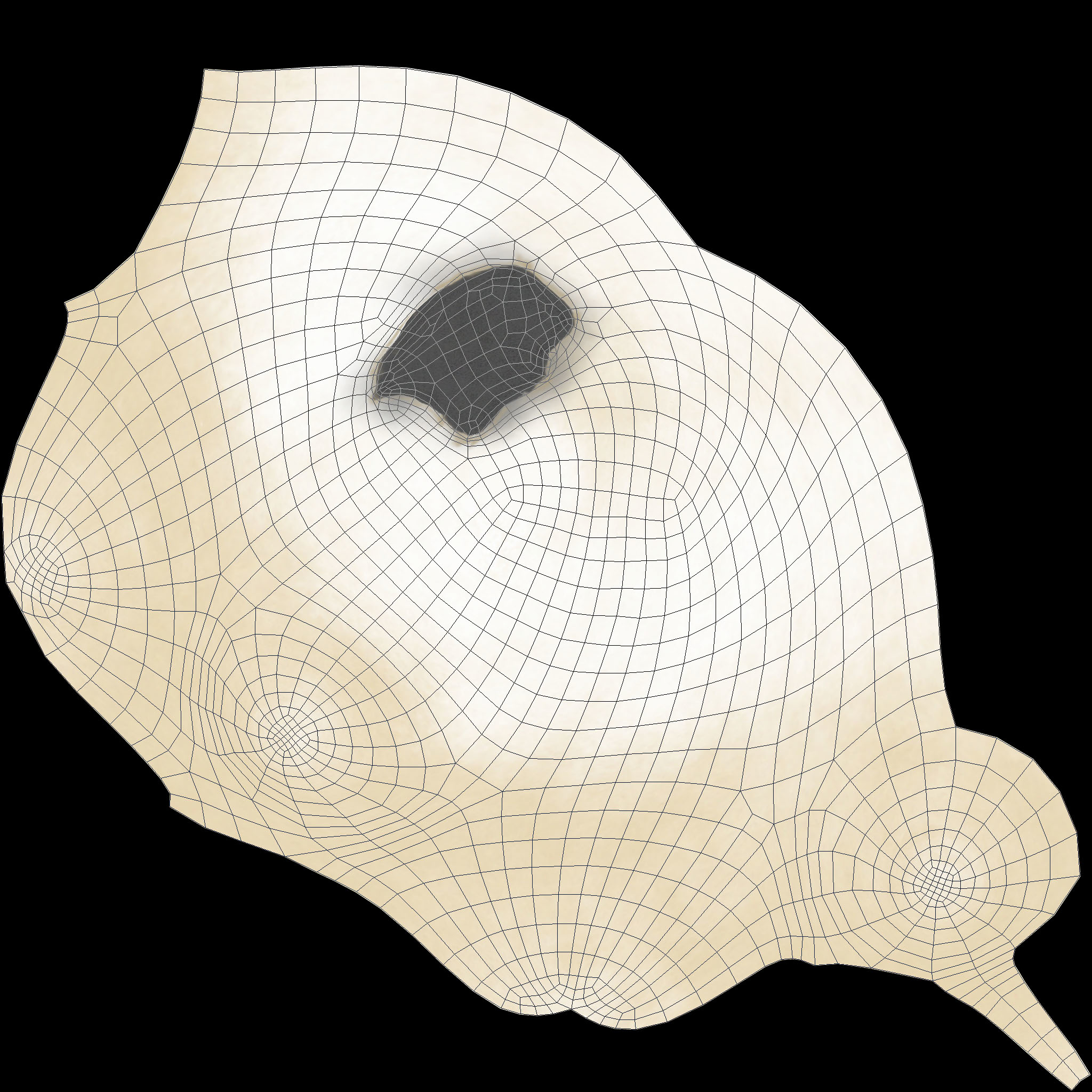 Teeth decay 3D model - TurboSquid 1438129