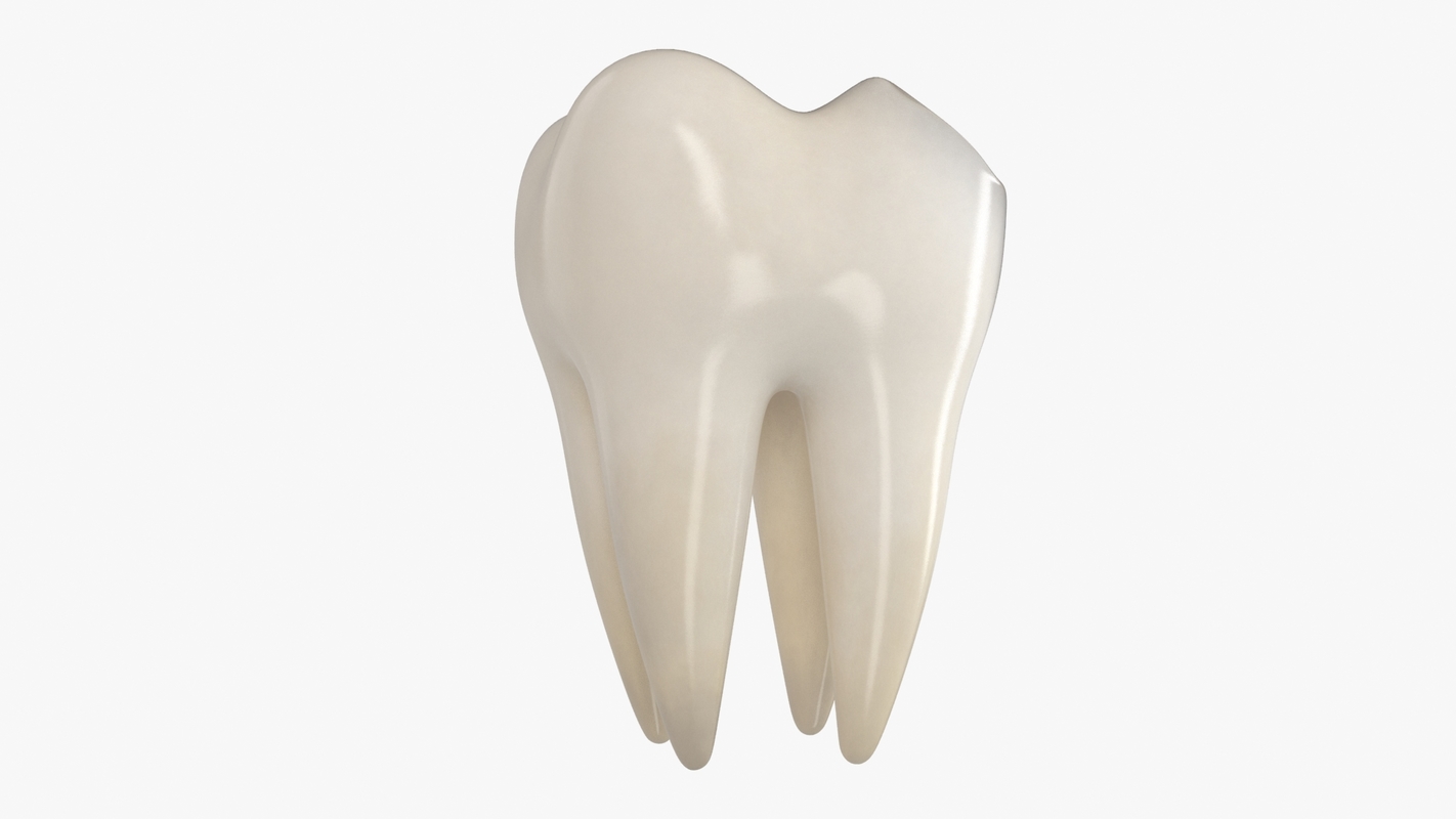 Teeth decay 3D model - TurboSquid 1438132