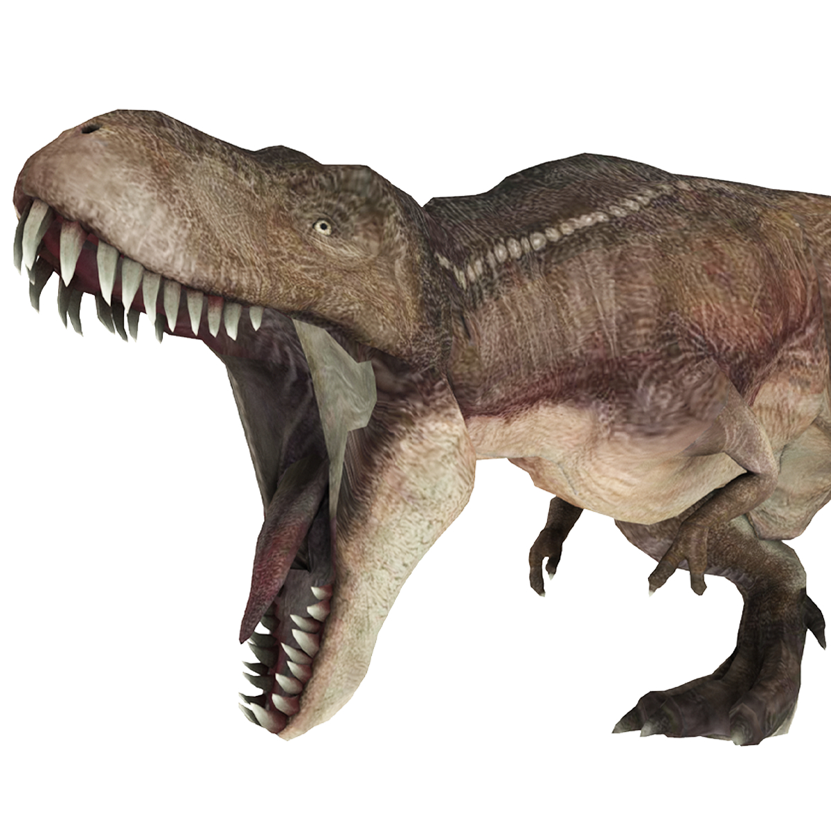 Realistic tyranasaurus rex t 3D model - TurboSquid 1438198