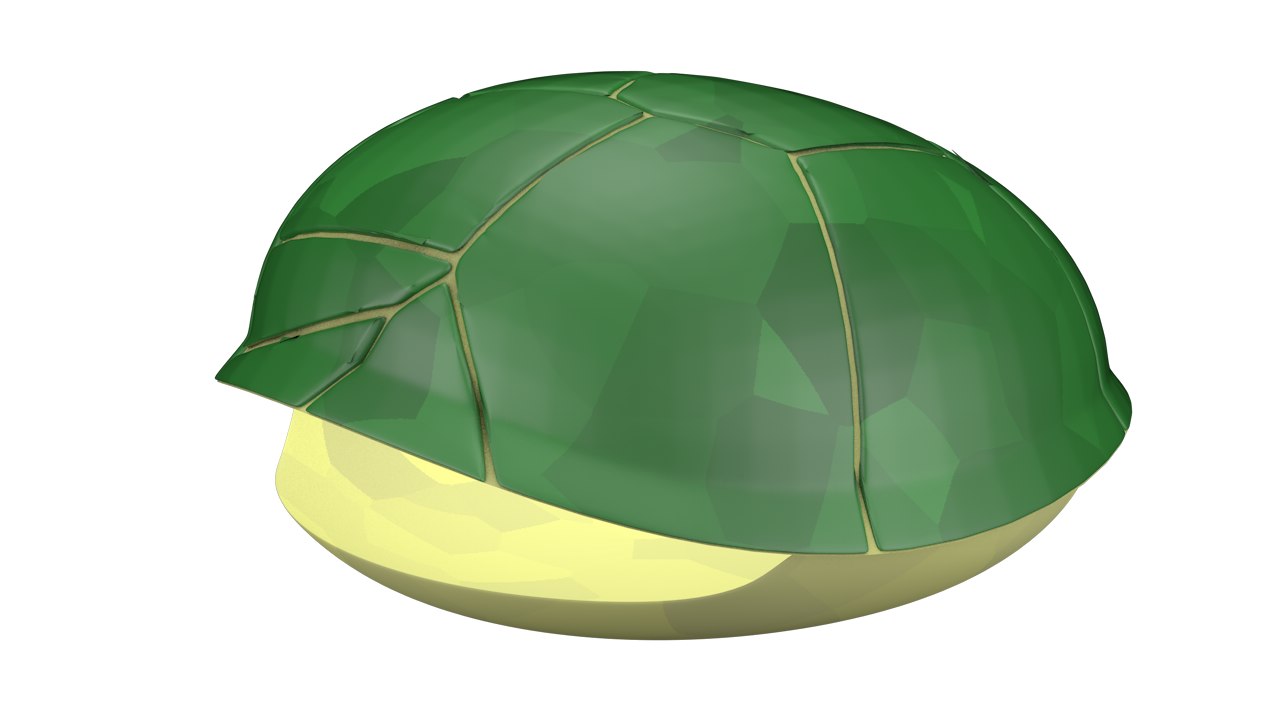 Turtle shell 3D model - TurboSquid 1438569