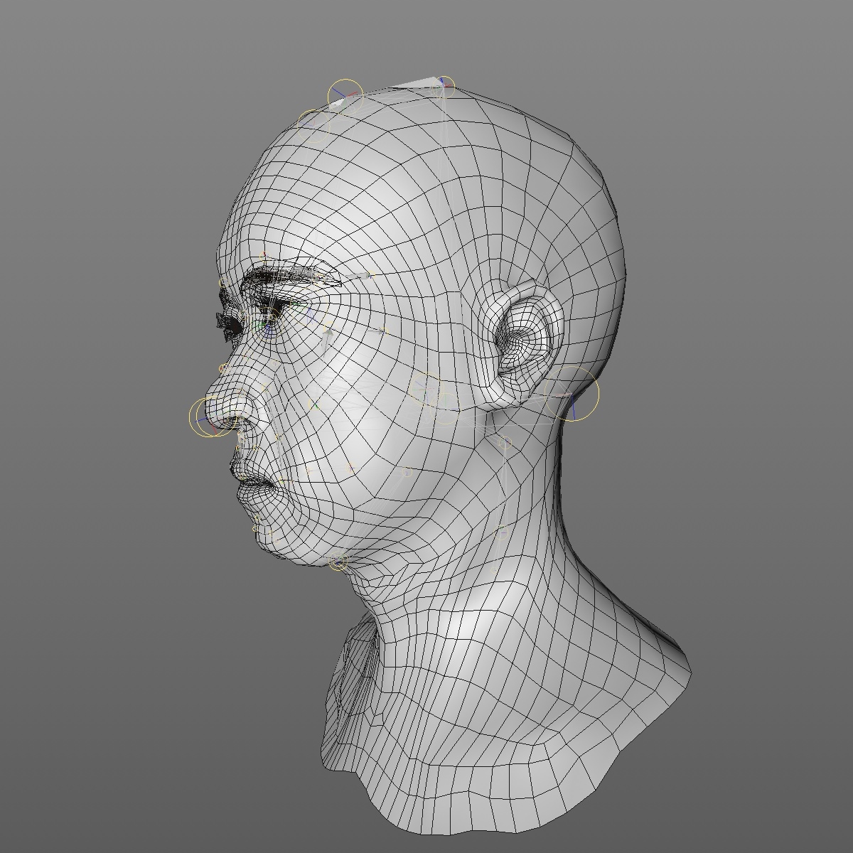 Realistic head base mesh 3D model - TurboSquid 1438807