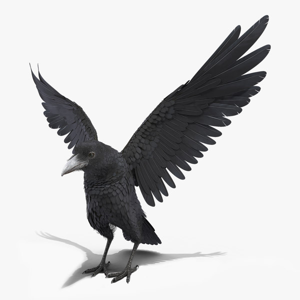 Raven landing rigged animate 3D - TurboSquid 1439277