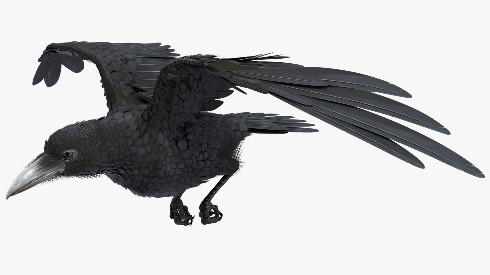Raven landing rigged animate 3D - TurboSquid 1439277