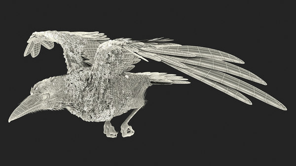 Raven landing rigged animate 3D - TurboSquid 1439277