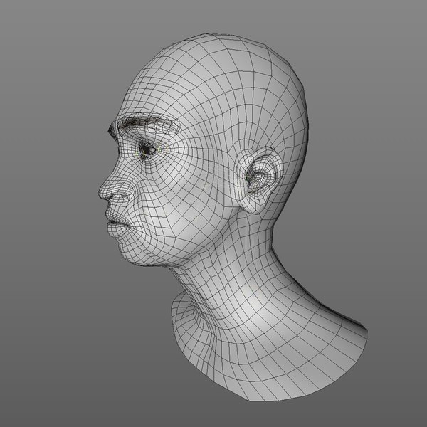 Realistic head base mesh model - TurboSquid 1439691