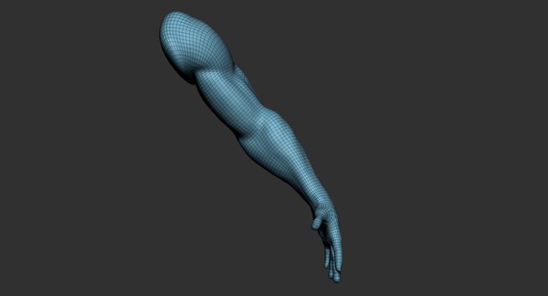 Human muscular arm 2019 3D model - TurboSquid 1440054