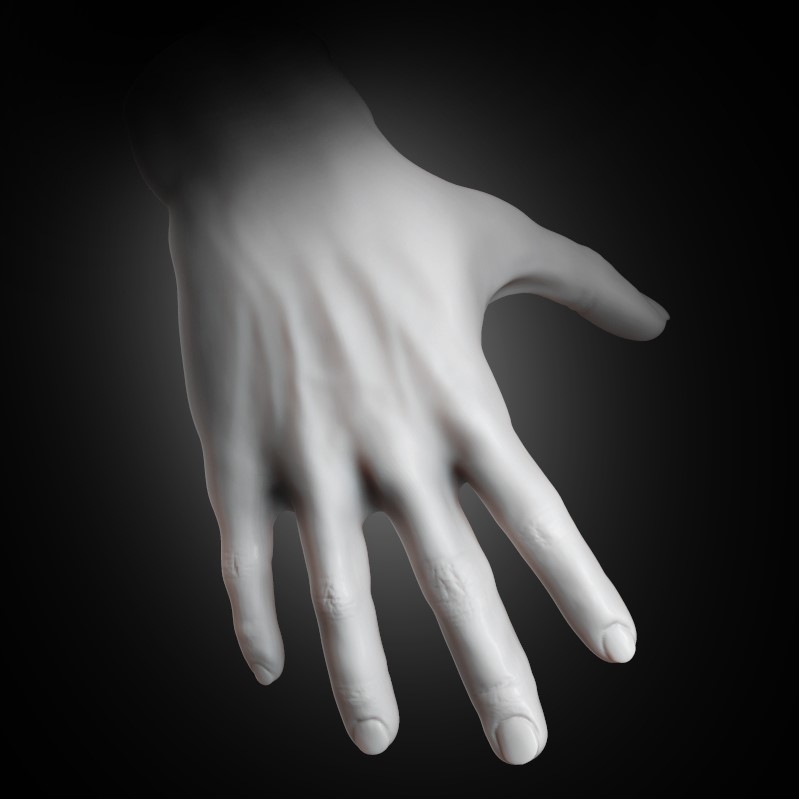 Human muscular hand 2019 3D - TurboSquid 1440075