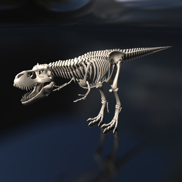 Free 3D T-Rex Models | TurboSquid