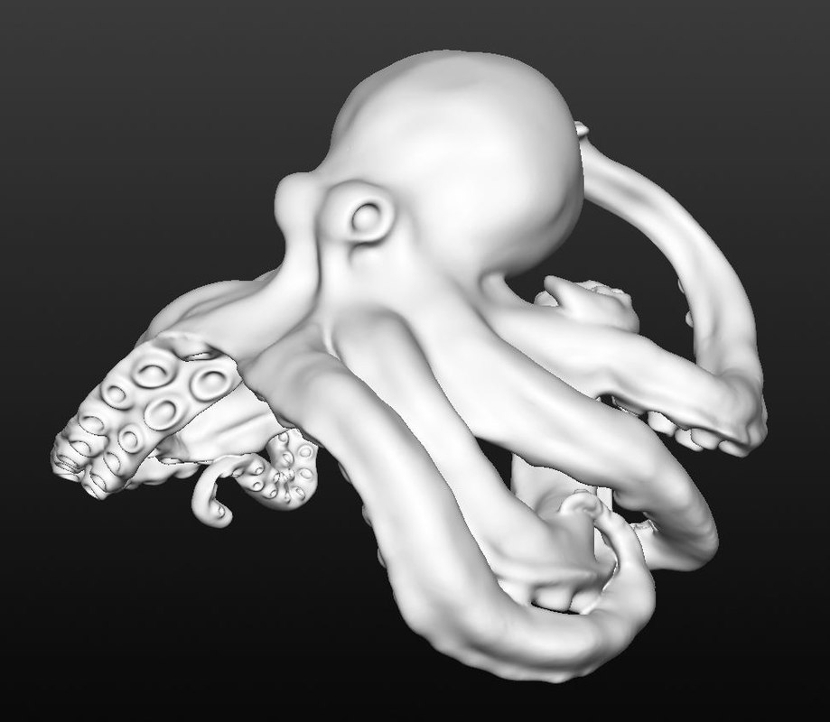 3D animal octopus - TurboSquid 1440362