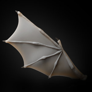 Dragon Wings 3D Models for Download | TurboSquid