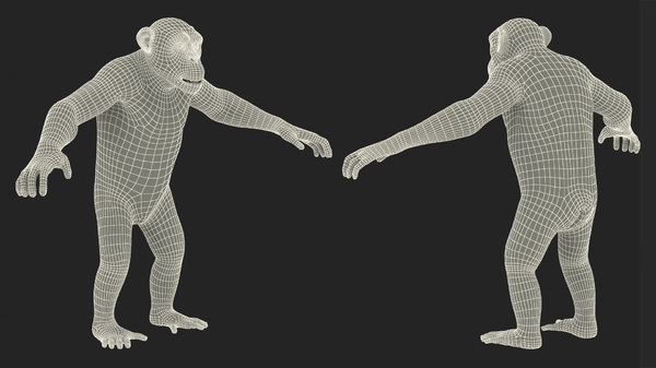 Chimpanzee t-pose dark fur model - TurboSquid 1441047