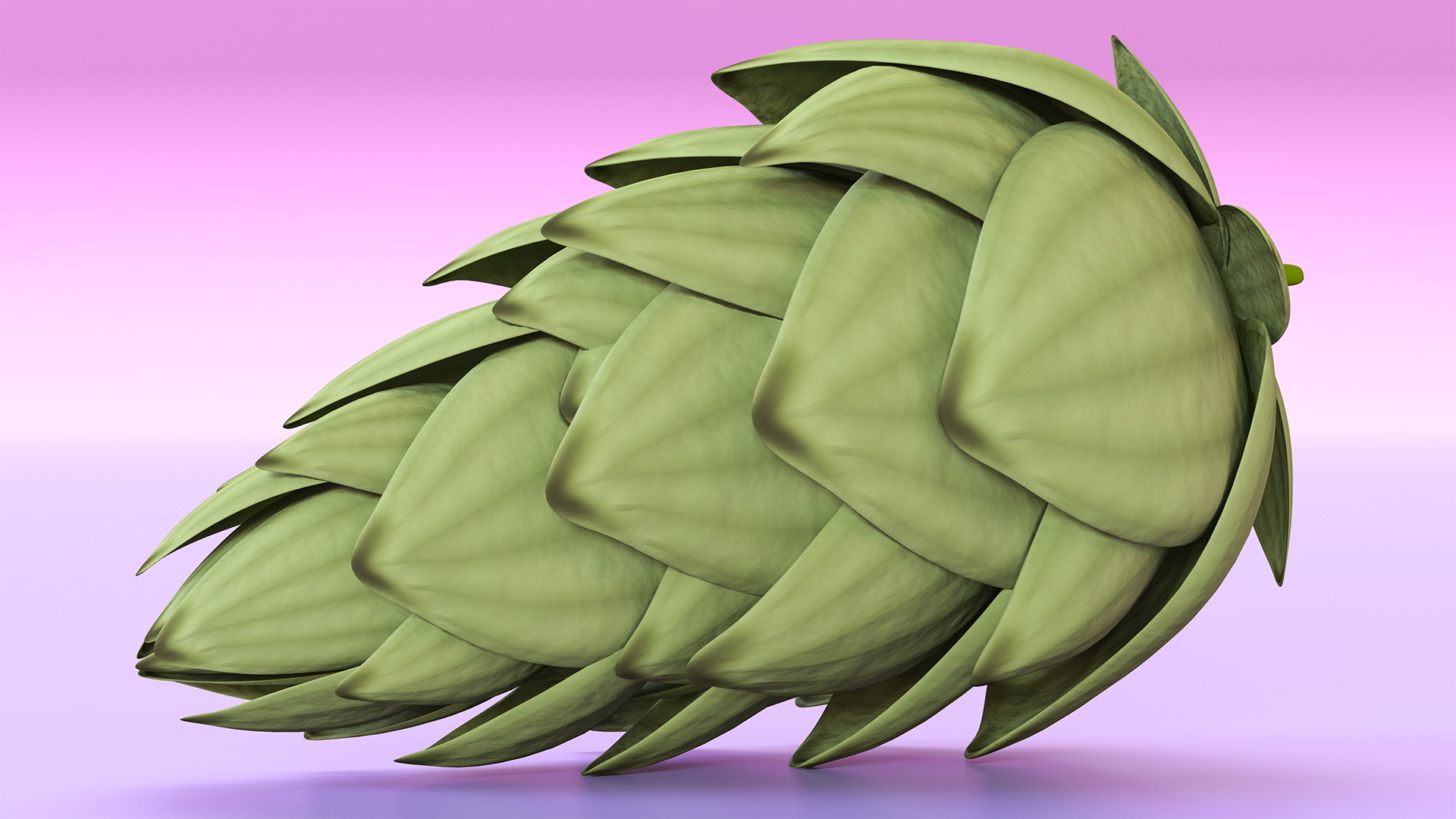 Hop cone model - TurboSquid 1441059