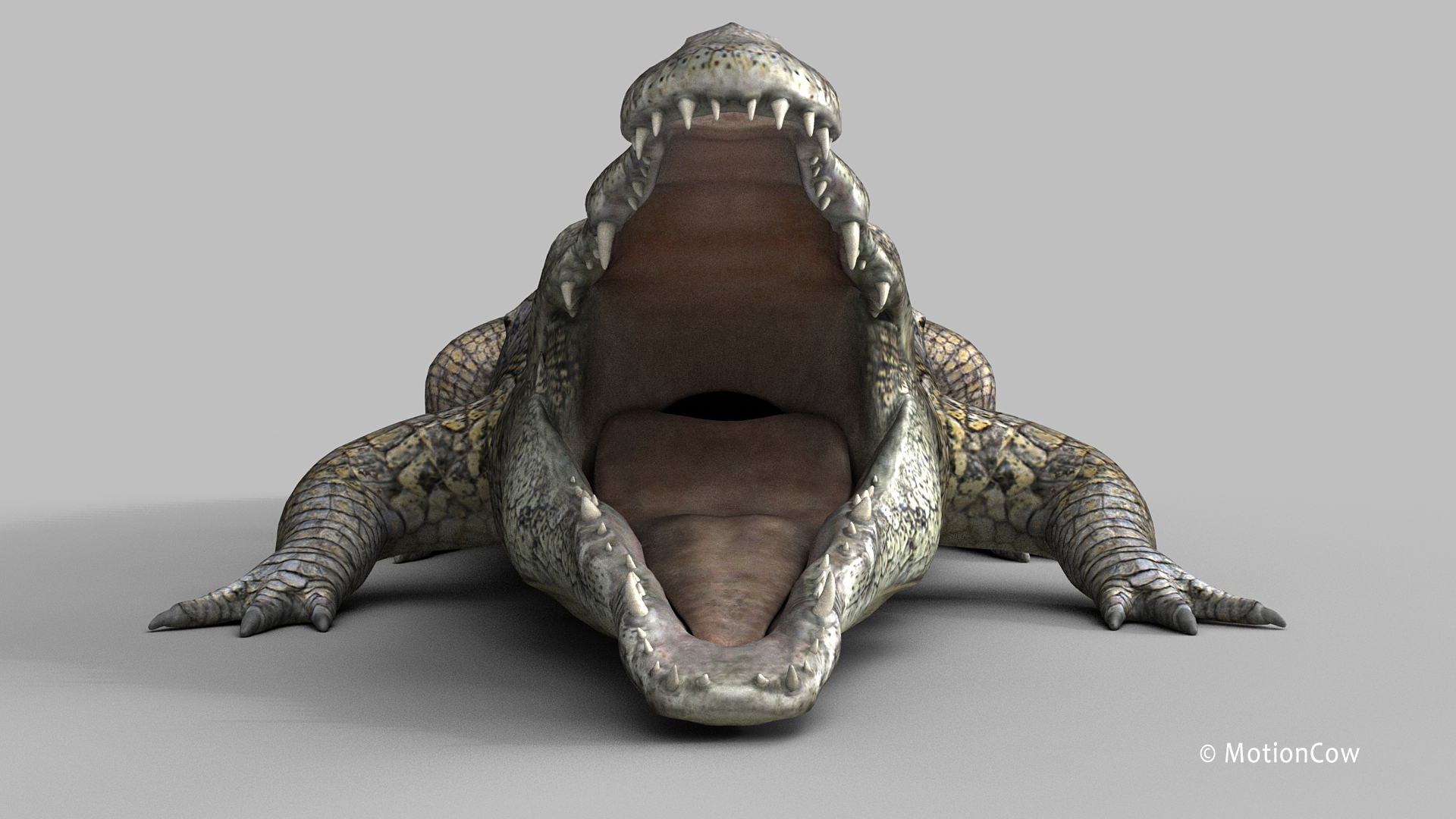 3D model realistic crocodile animating - TurboSquid 1441718