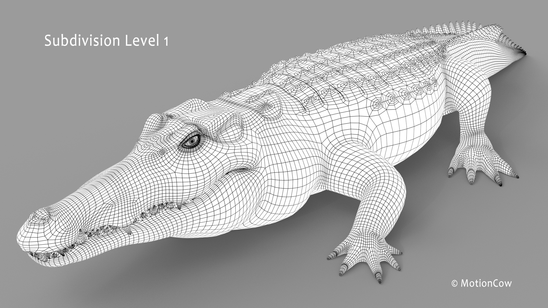 3D model realistic crocodile animating - TurboSquid 1441718