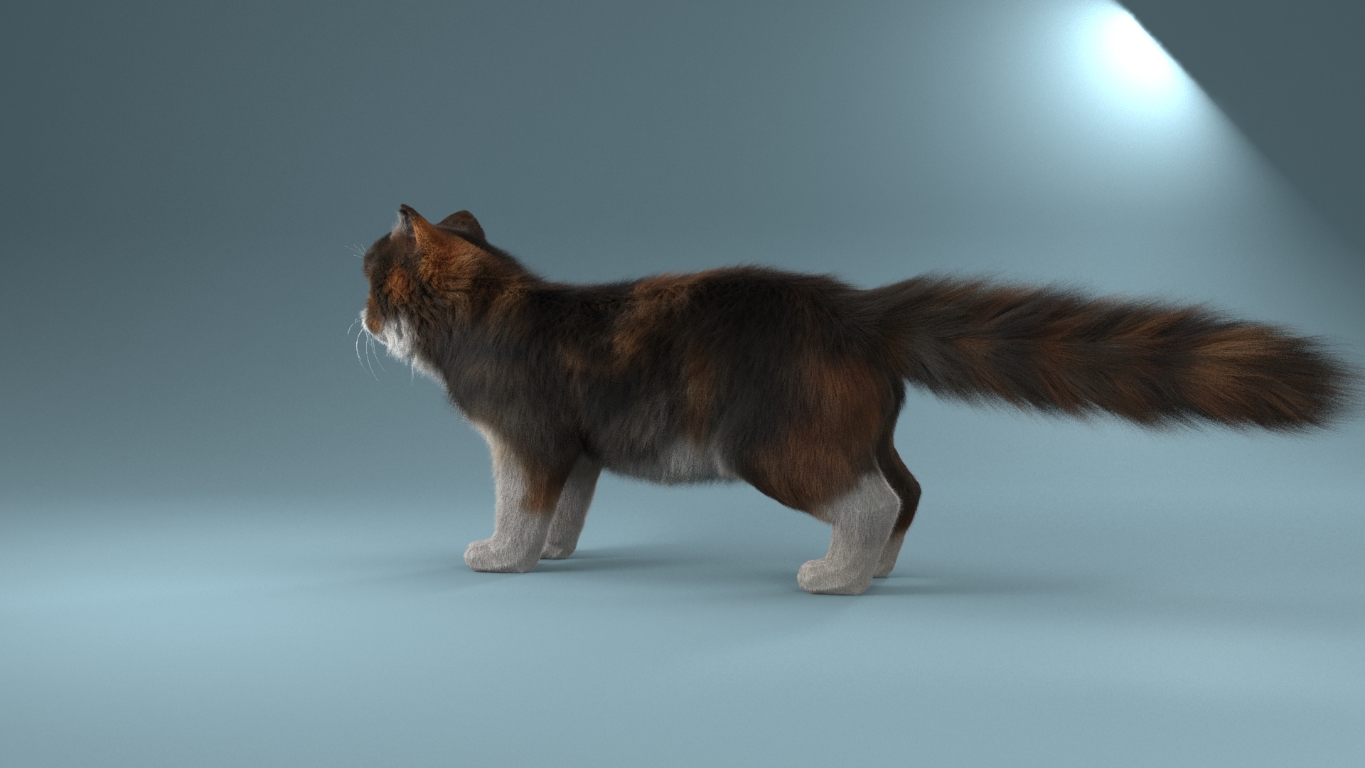 Modell der Katze 3d 3D-Modell - TurboSquid 1311438