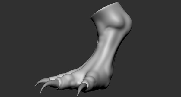 Dragon claw concept 2019 3D model - TurboSquid 1442367
